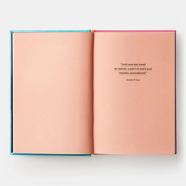 Pet-Tecture: Design for Pets – A.MANO Brooklyn