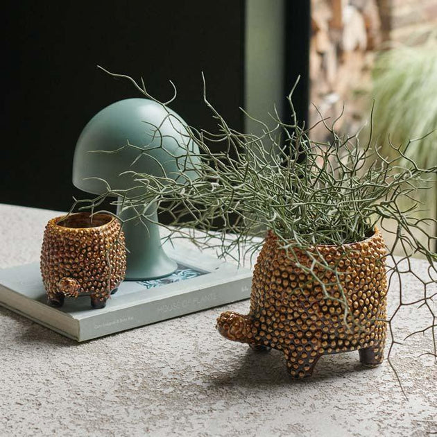 MEDIUM TORTOISE POT – A.MANO Brooklyn
