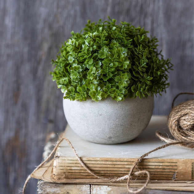 ARTIFICIAL HEBE PLANT IN POT – A.MANO Brooklyn